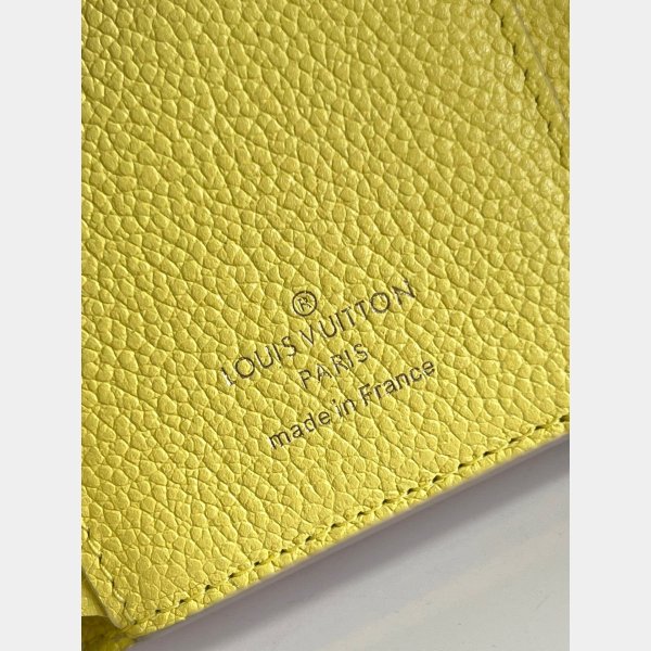 Louis Vuitton Perfect FACHE M81427/M81289 Victorine Wallet Monogram ...